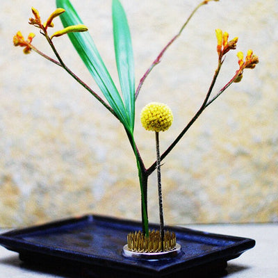 Bass platform broom + handle – Lancaster's Home and Garden