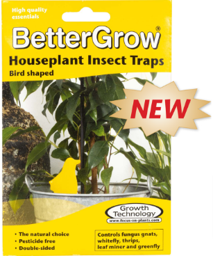 BetterGrow Houseplant Insect Traps 15 pk – Lancaster's Home and Garden
